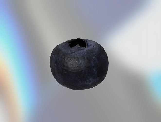 Blueberry - A single tiny berry 3D model | CGTrader