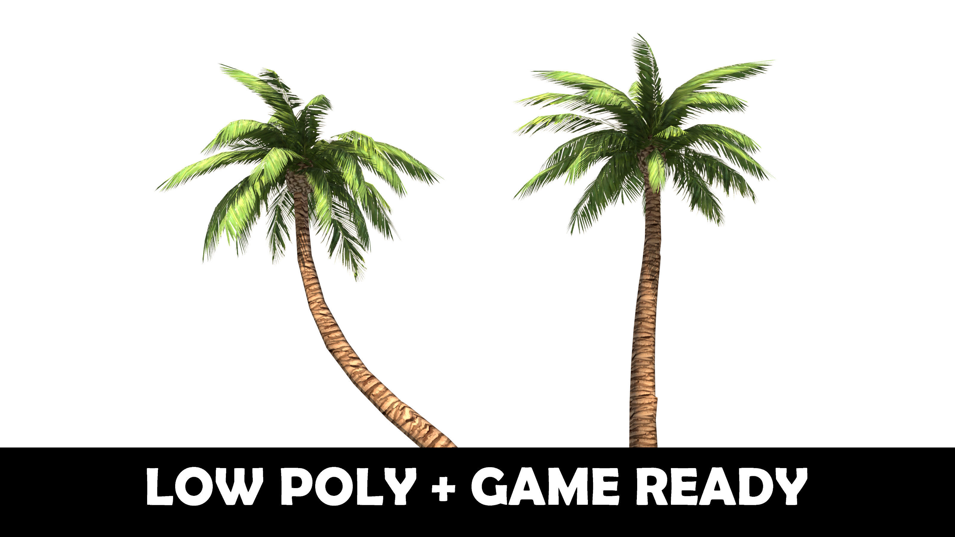 3D model Palm Trees Game Ready VR / AR / low-poly | CGTrader
