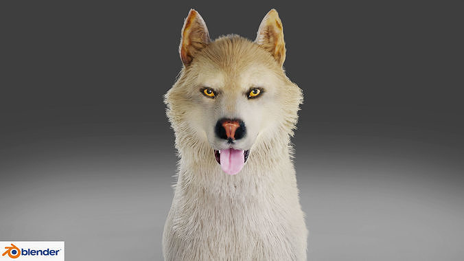 3D model Fur Gray Wolf V02 NO Rigged VR / AR / low-poly | CGTrader