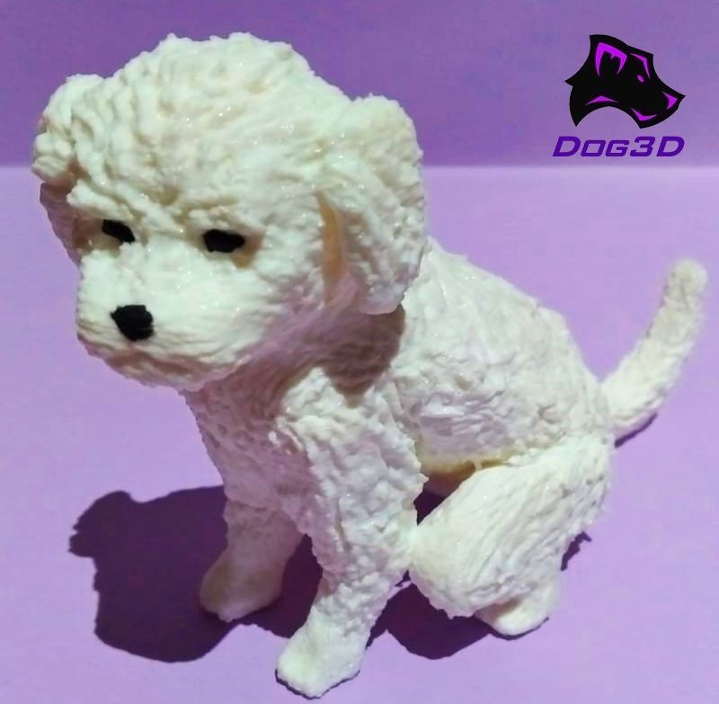 Maltese dog - 3D printable 3D model 3D printable | CGTrader