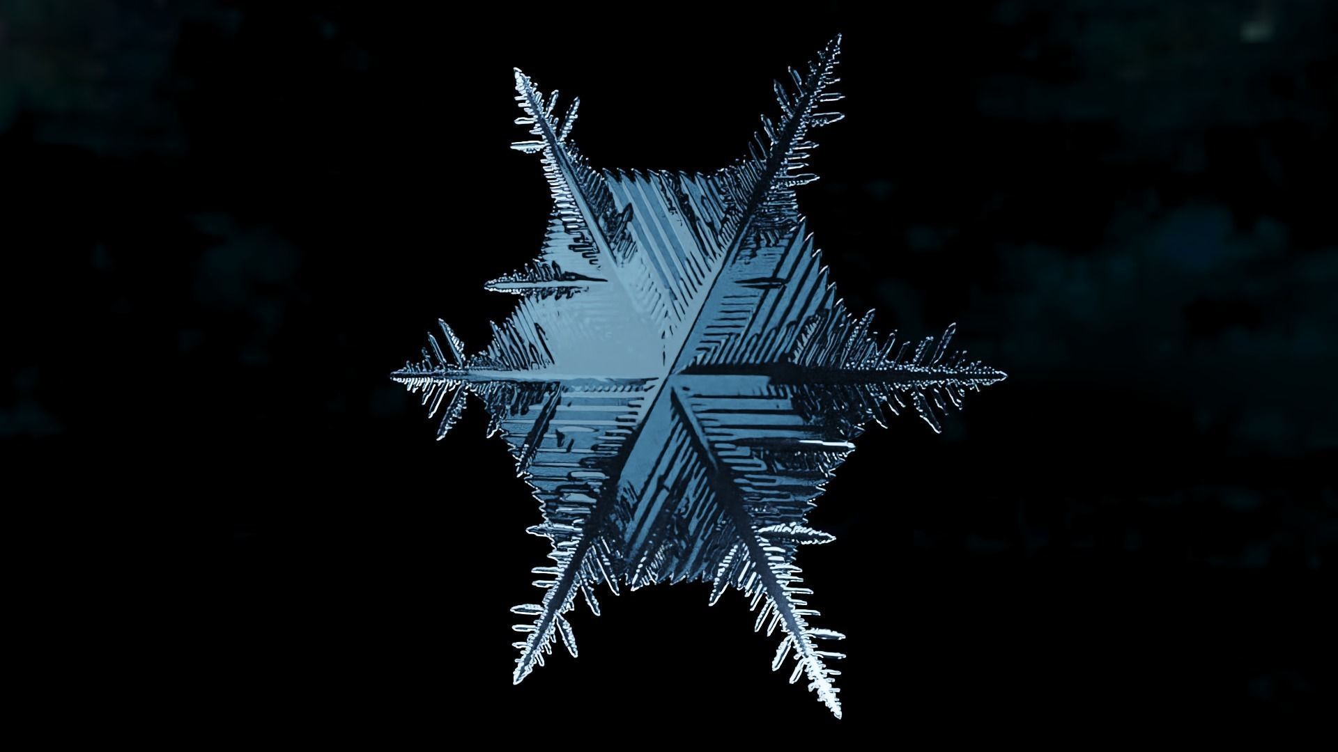 Snowflake growing animation with blender file 3D model animated | CGTrader