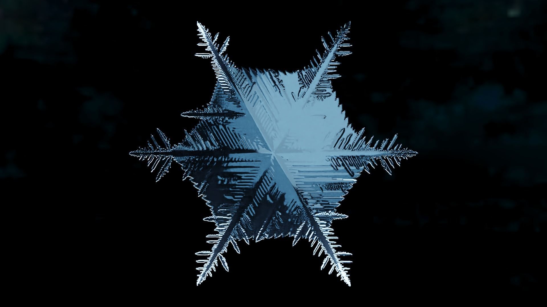 Snowflake growing animation with blender file 3D model animated | CGTrader