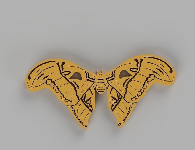 Moth Wall Art by Mels3D 3D model 3D printable | CGTrader