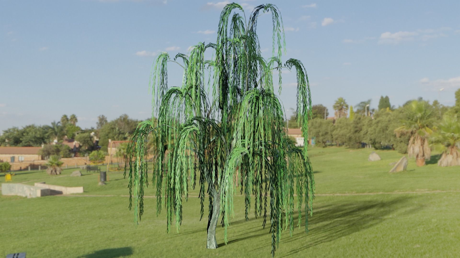 3D model Willow Tree Lowpoly VR / AR / low-poly | CGTrader