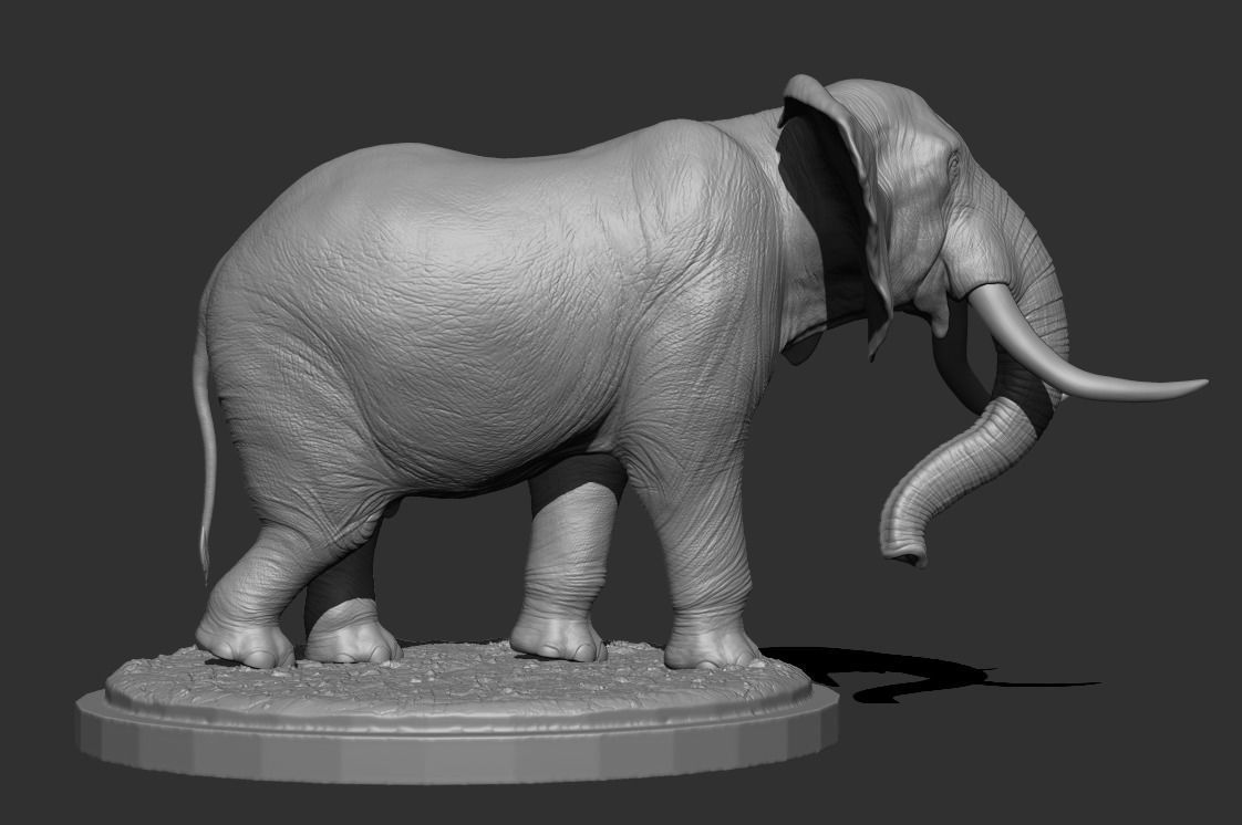 3D Print Elephant Poses 01 3D Model Collection | CGTrader