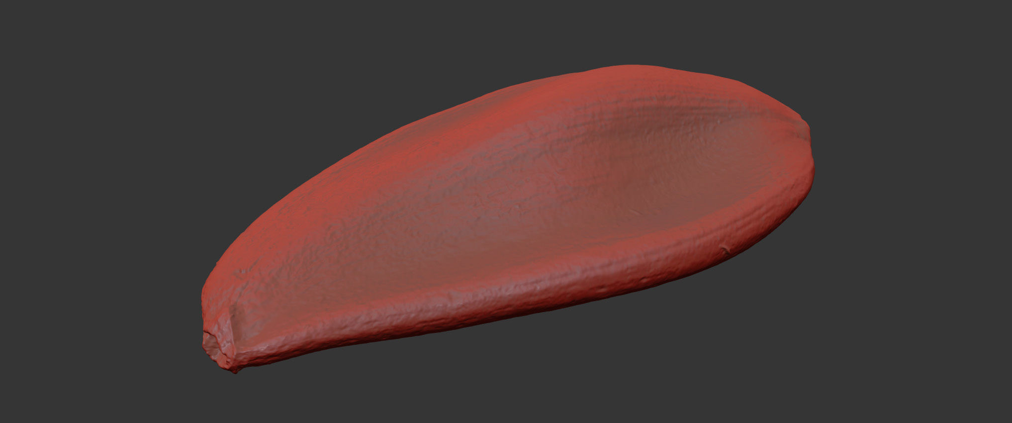 Sunflower Seed 002 3D model | CGTrader