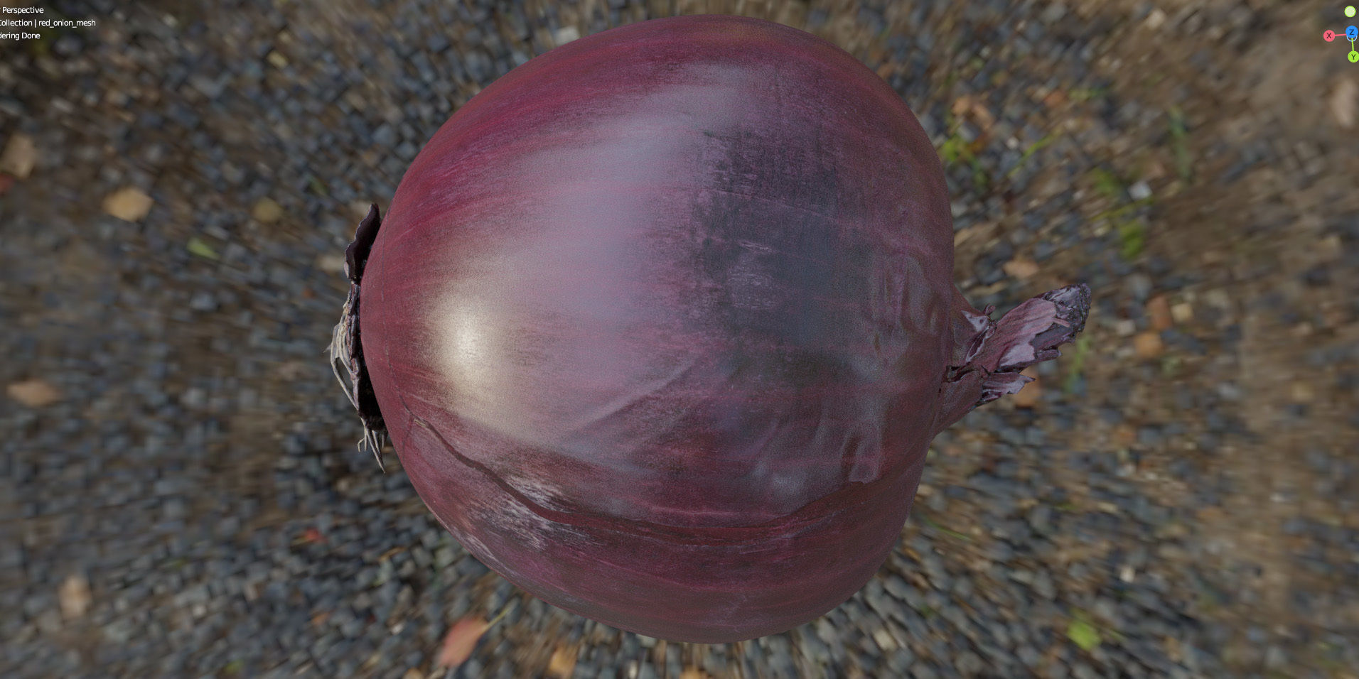 4K Red onion 3D model | CGTrader