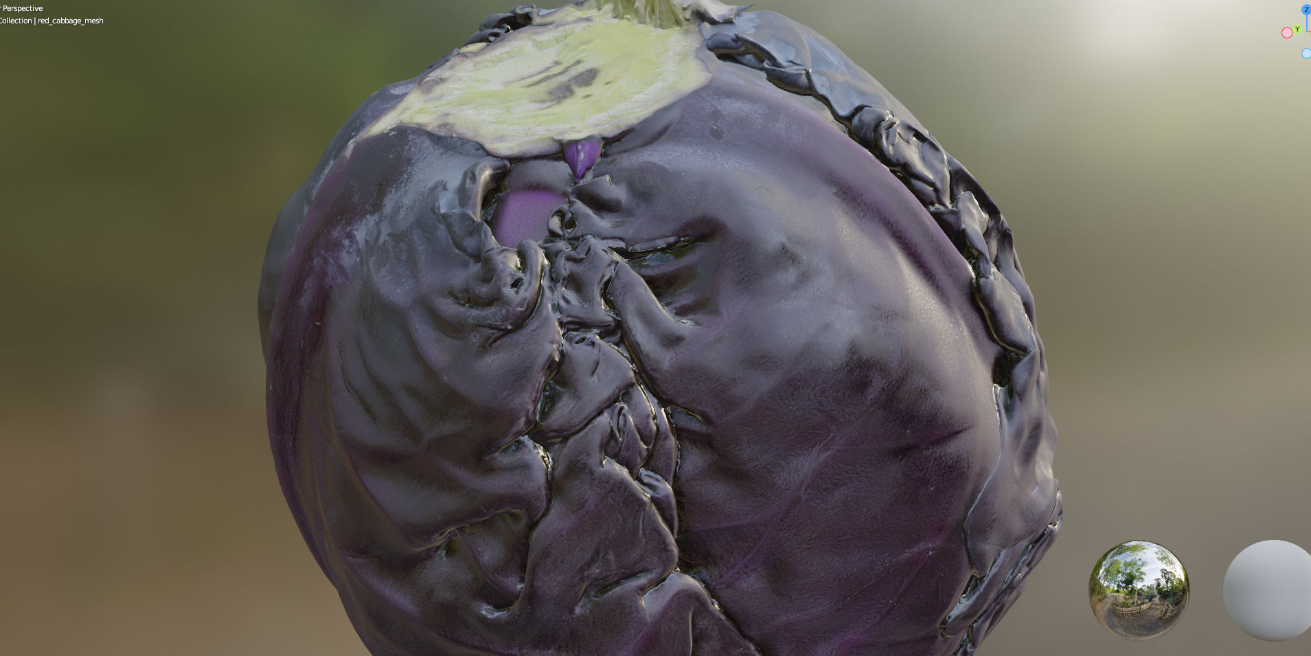 4k red cabbage 3D model | CGTrader