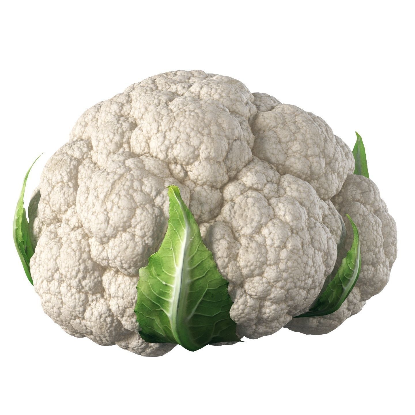 4k Cauliflower 3D model | CGTrader