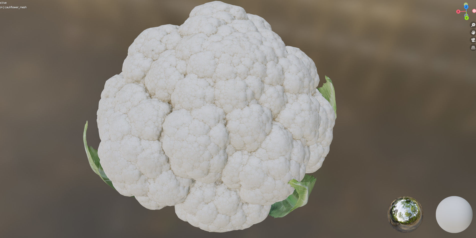 4k Cauliflower 3D model | CGTrader