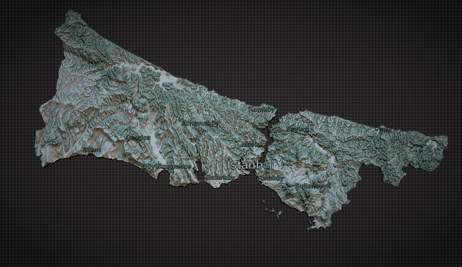 Istanbul City 3d map 3D model 3D printable | CGTrader