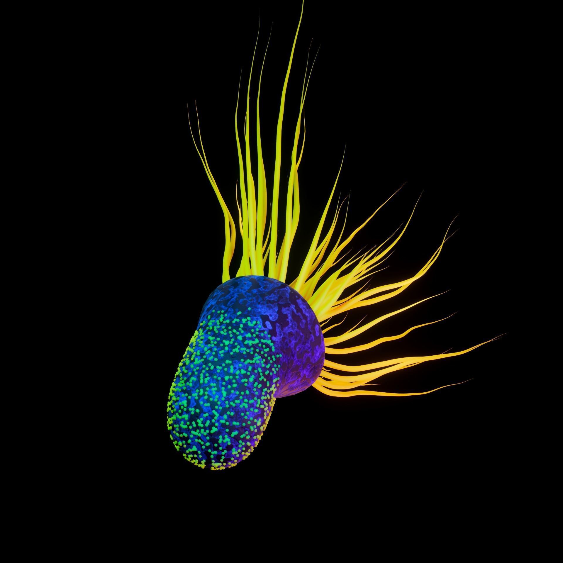 Bacteria 3D Model jellyfish 3D model | CGTrader