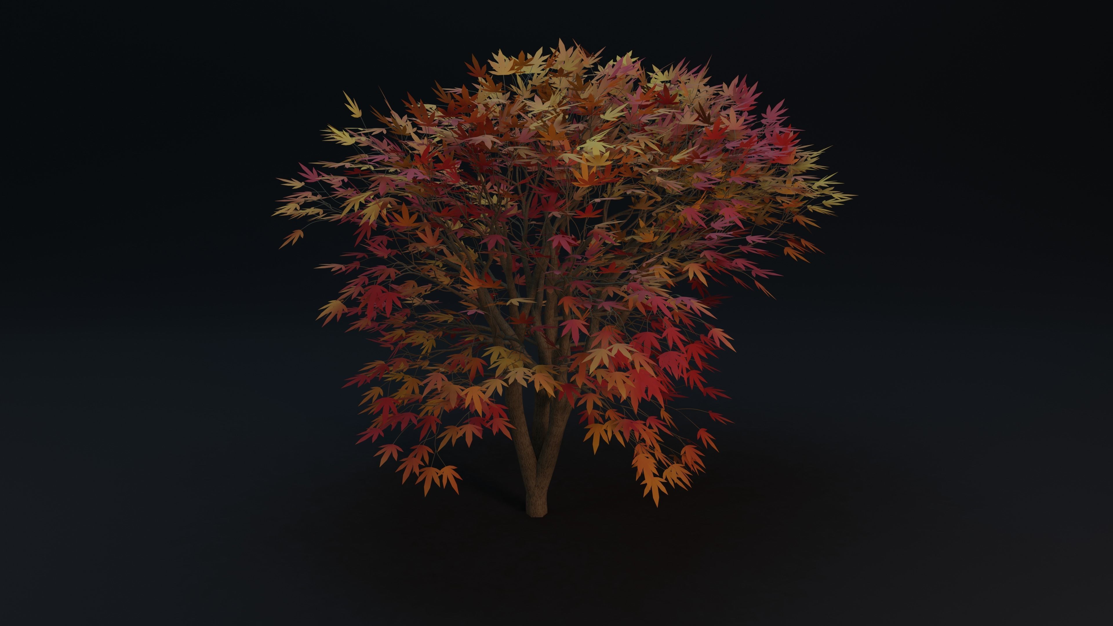 3D model Maple tree with procedural texture VR / AR / low-poly | CGTrader