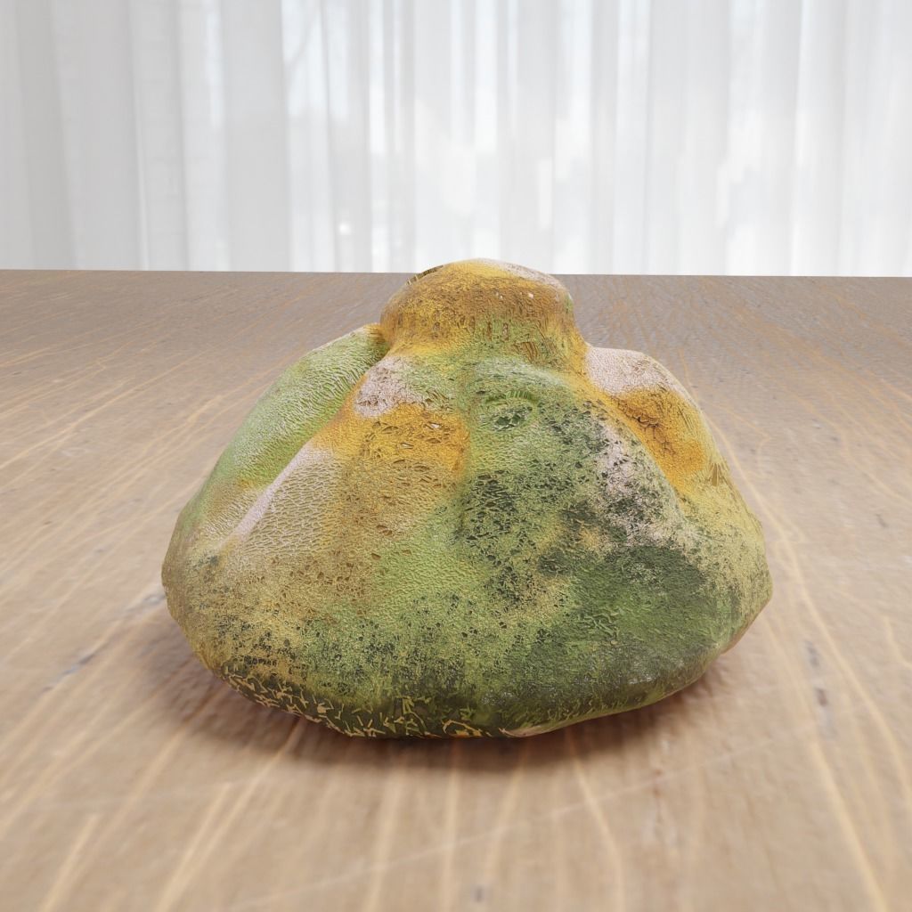 Moldy bun 3D model | CGTrader