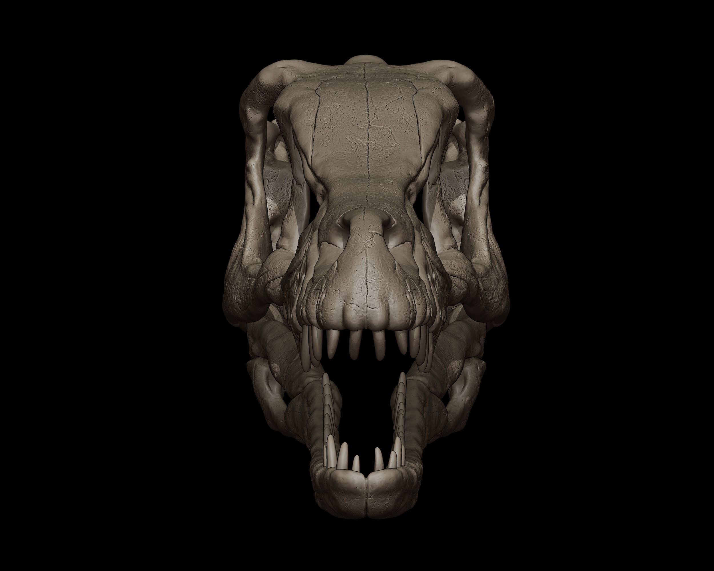 Velociraptor Skull 3d Print Model 3D model 3D printable | CGTrader