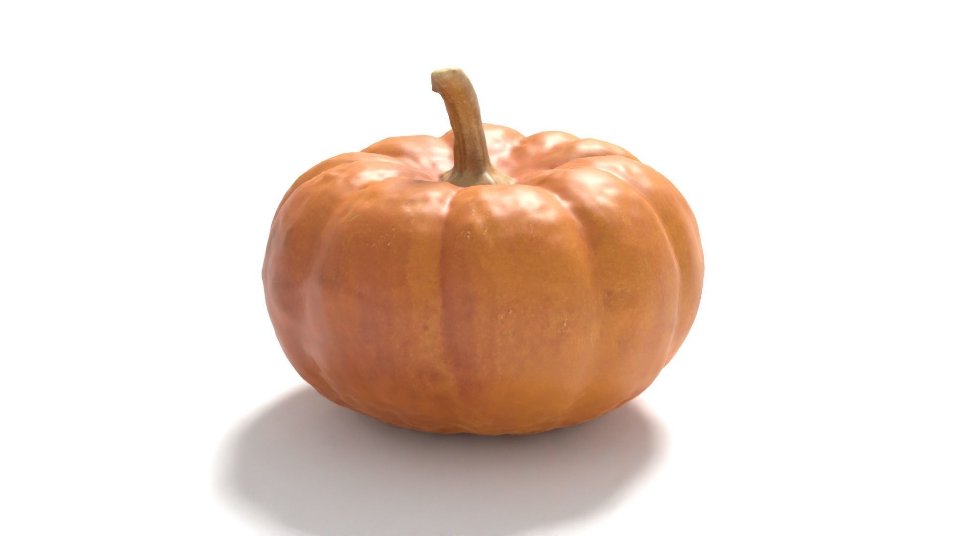 Decorative Gourd Pumpkin Squash Orange 3D Scan 3D model | CGTrader