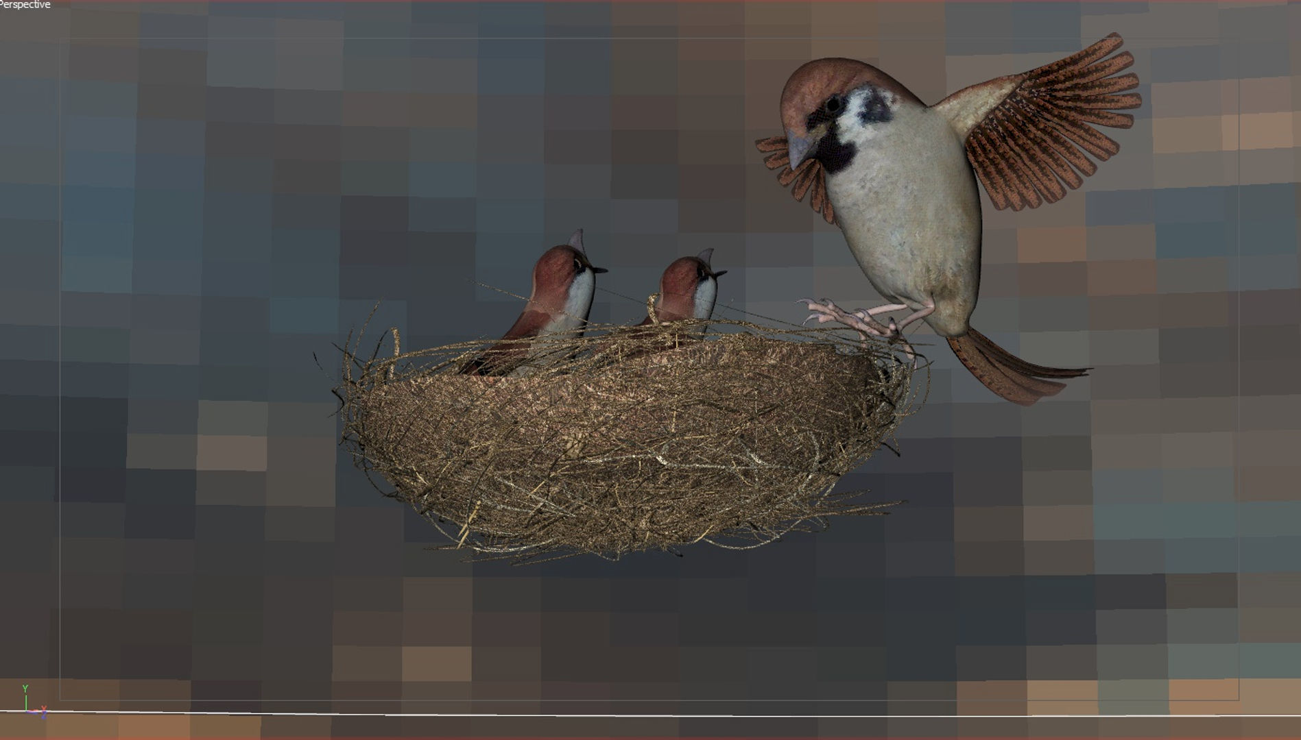 Birds Model - Scene 3D model - Bird 3D model animated rigged | CGTrader