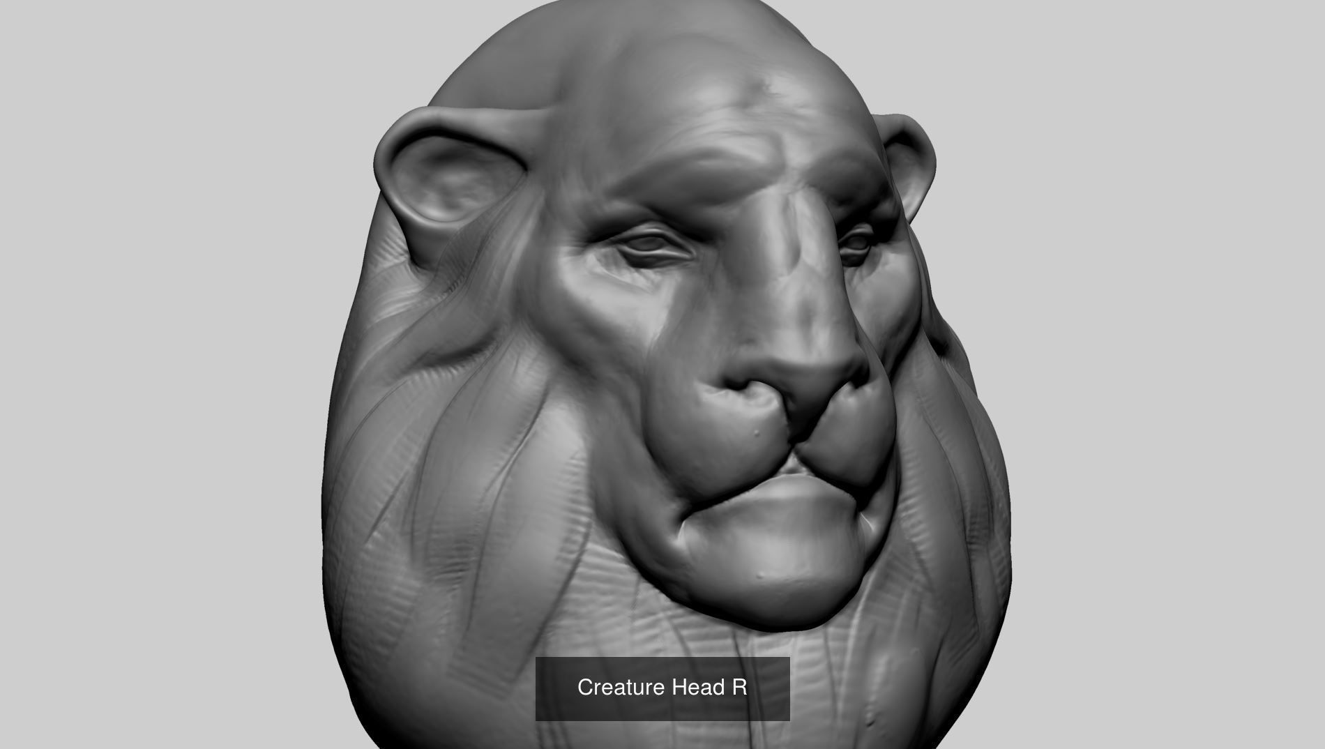 Various Male Female and Creature Models A 3D Model Collection | CGTrader
