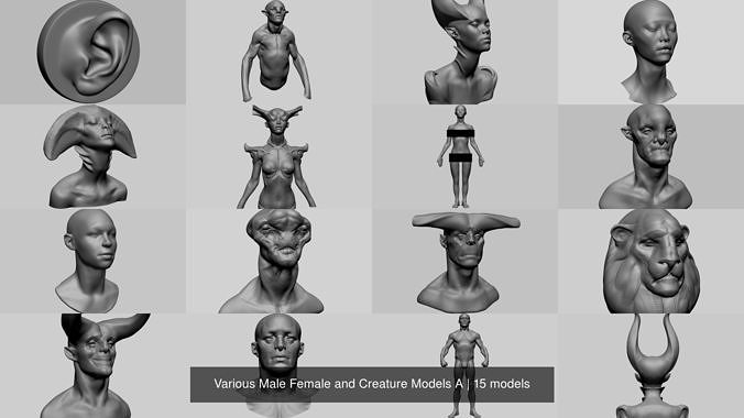Various Male Female and Creature Models A 3D Model Collection | CGTrader