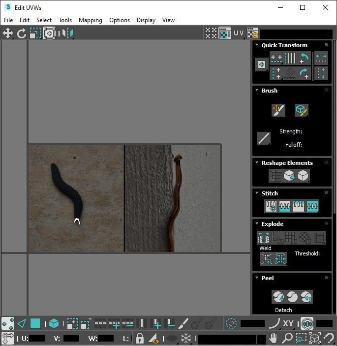 Flatworm 3d Model Cgtrader
