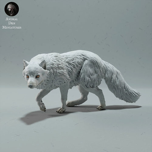 Arctic Fox 3D model 3D printable | CGTrader