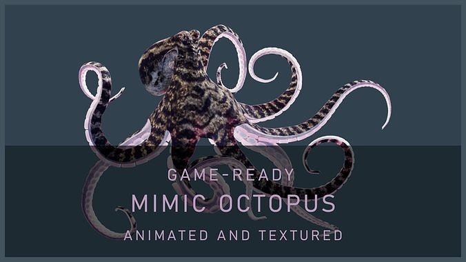 3D model Animated Mimic Octopus VR / AR / low-poly | CGTrader