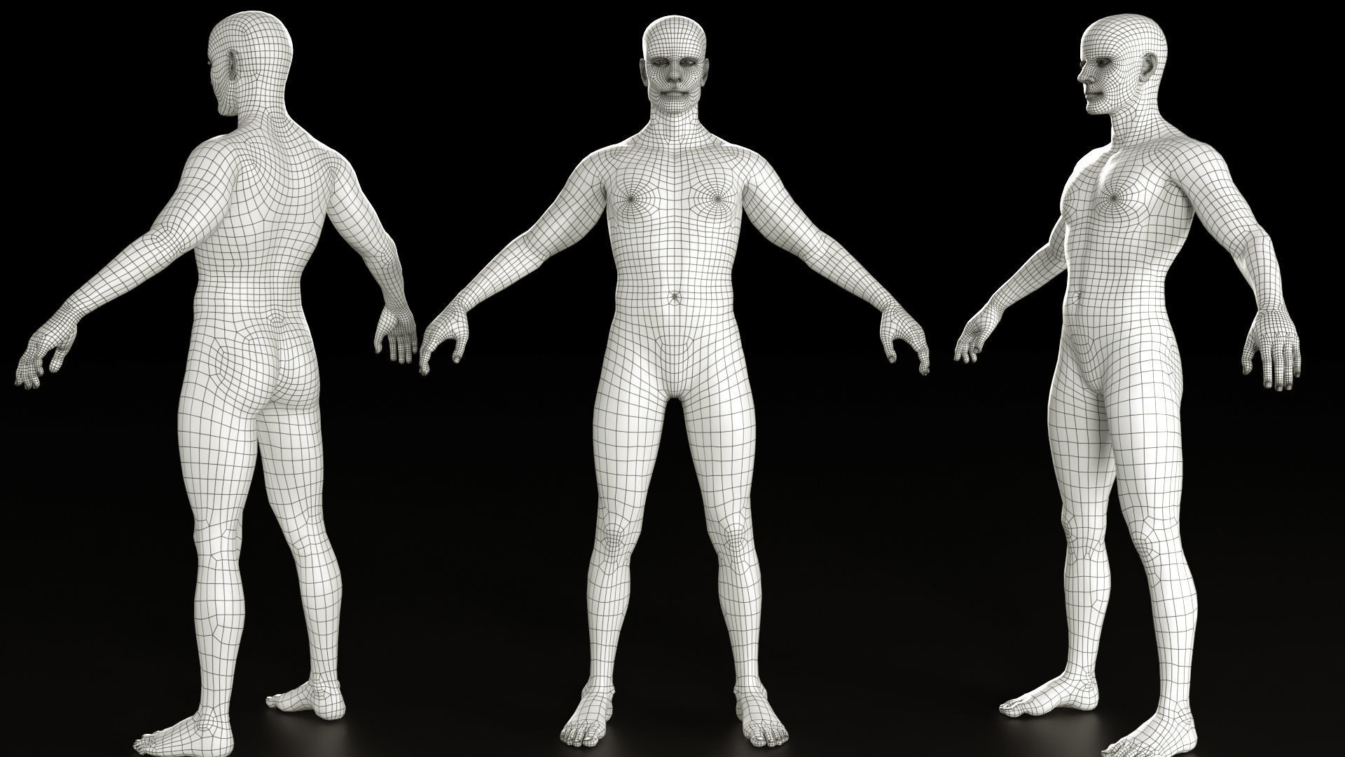 Human Basemesh free VR / AR / low-poly 3D model | CGTrader