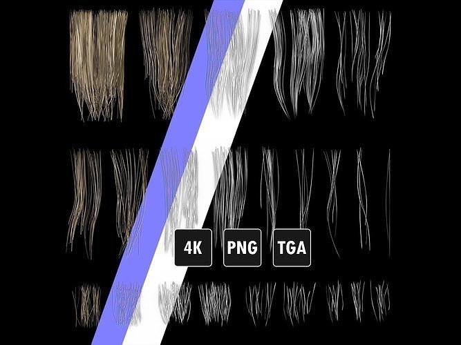 Hair Textures for Hair Cards 4K TGA PNG 3D model | CGTrader