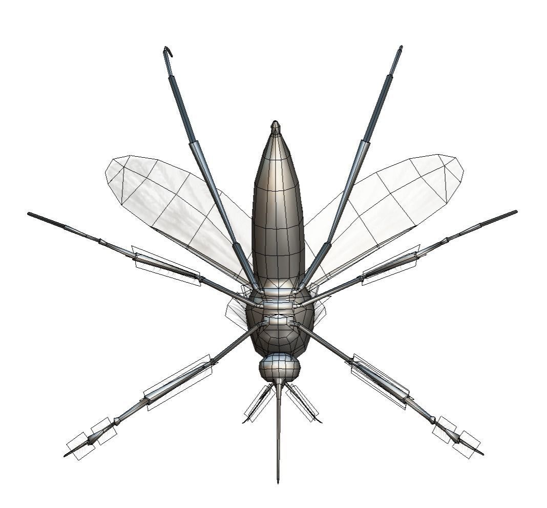 3D model LowPoly Big Realistic Mosquito VR / AR / low-poly | CGTrader