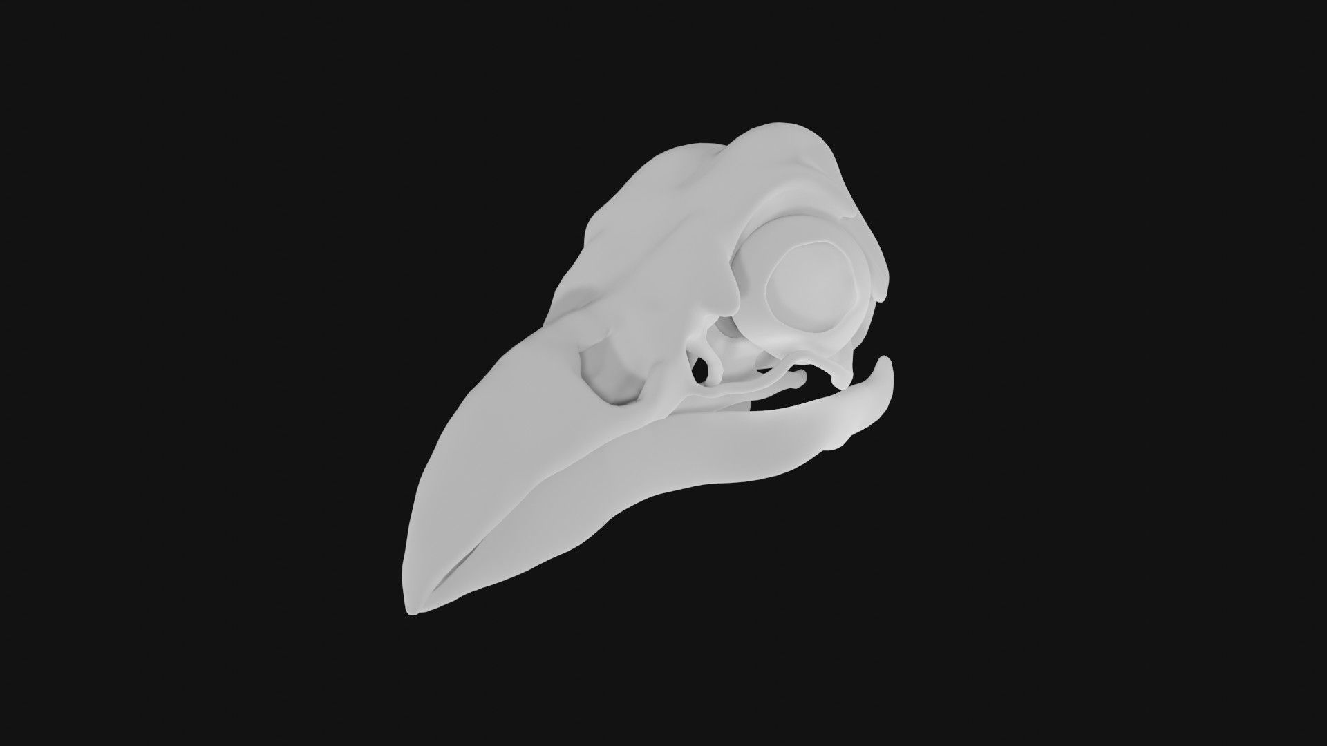 Raven skull 3D model | CGTrader