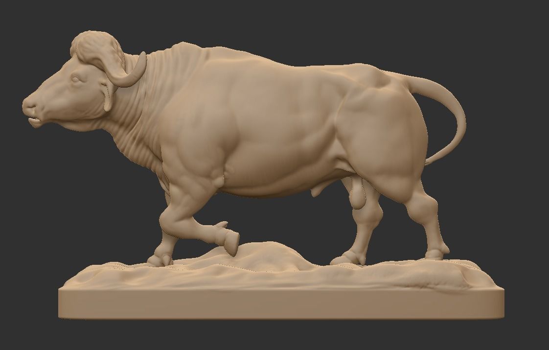 CAPE BUFFALO 3D model 3D printable | CGTrader