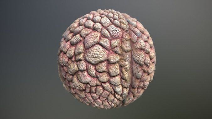 Material Skin Monster 33 Seamless PBR Texture Texture | CGTrader