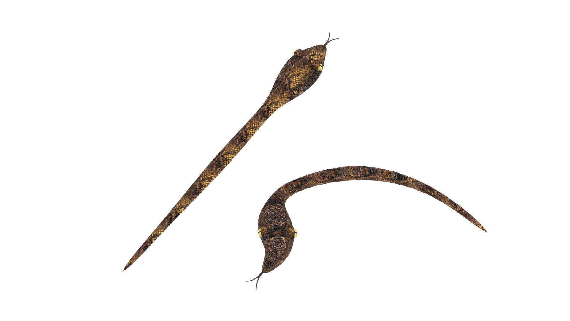 Snake With Straight Snake 3D model | CGTrader