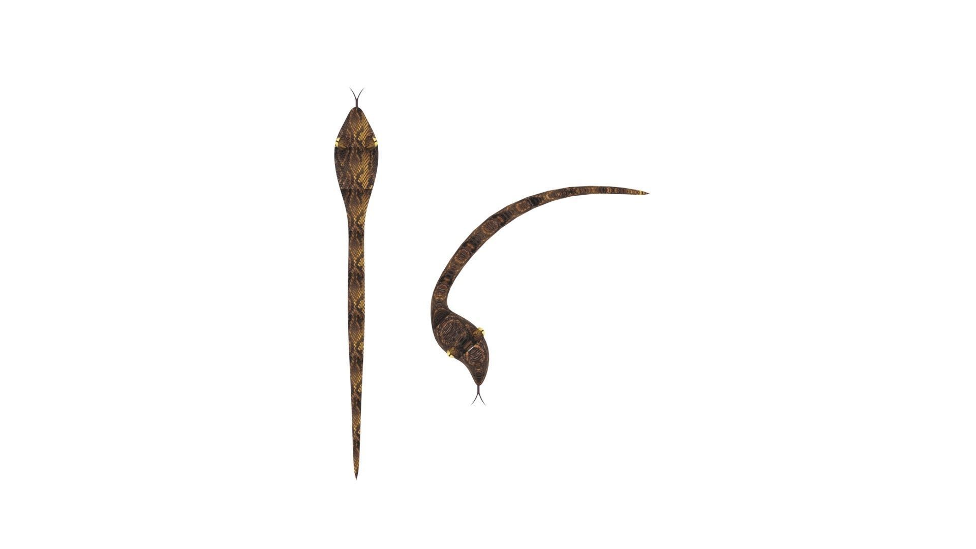 Snake With Straight Snake 3D model | CGTrader