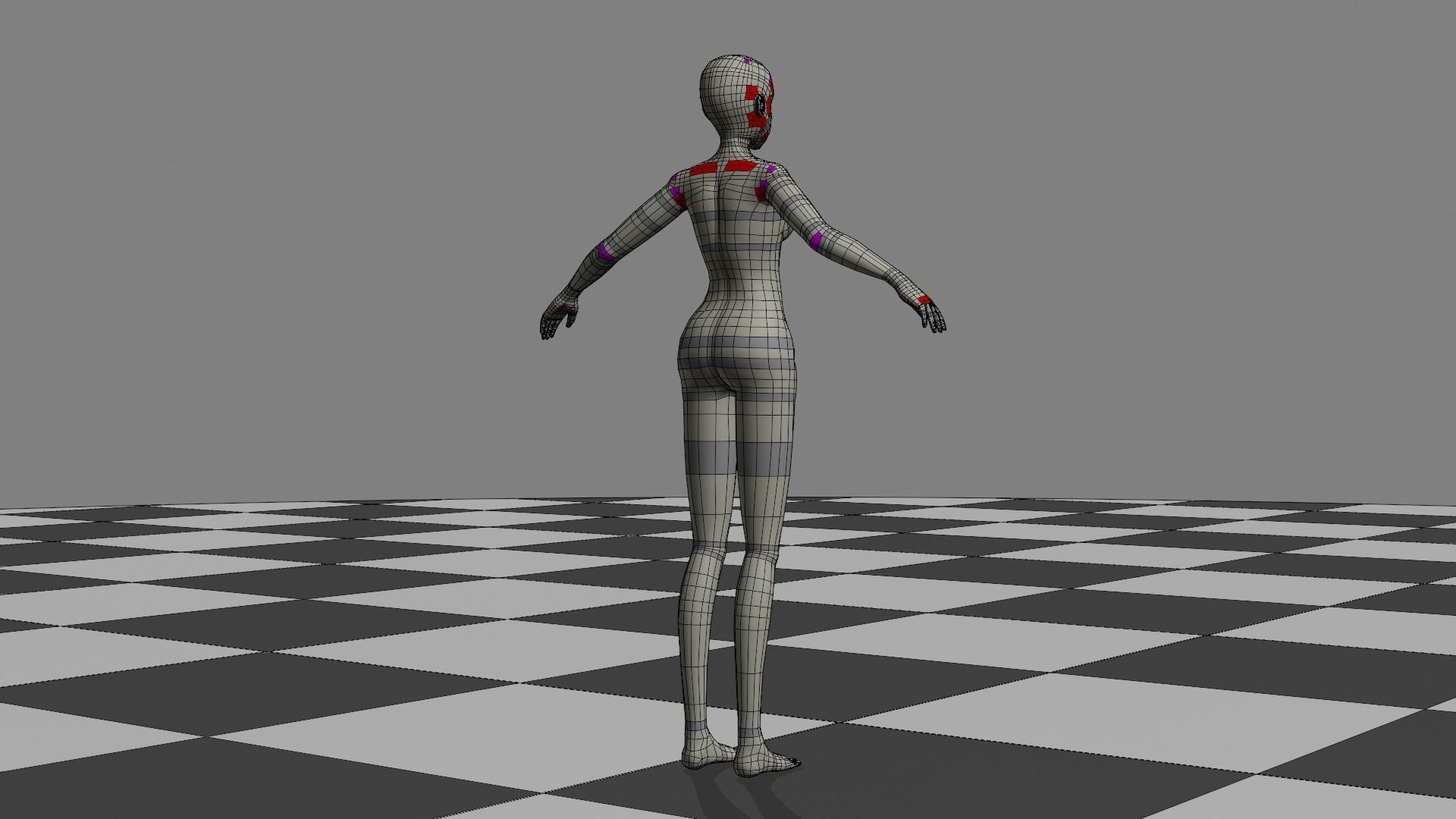 Female Body - Topology 3D model | CGTrader