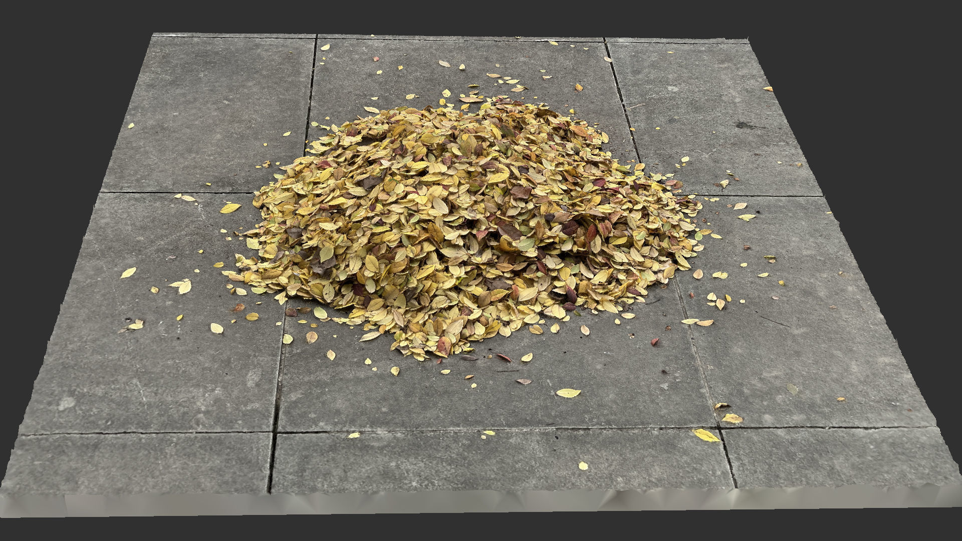Leaves on the ground 3d scan 3D model | CGTrader