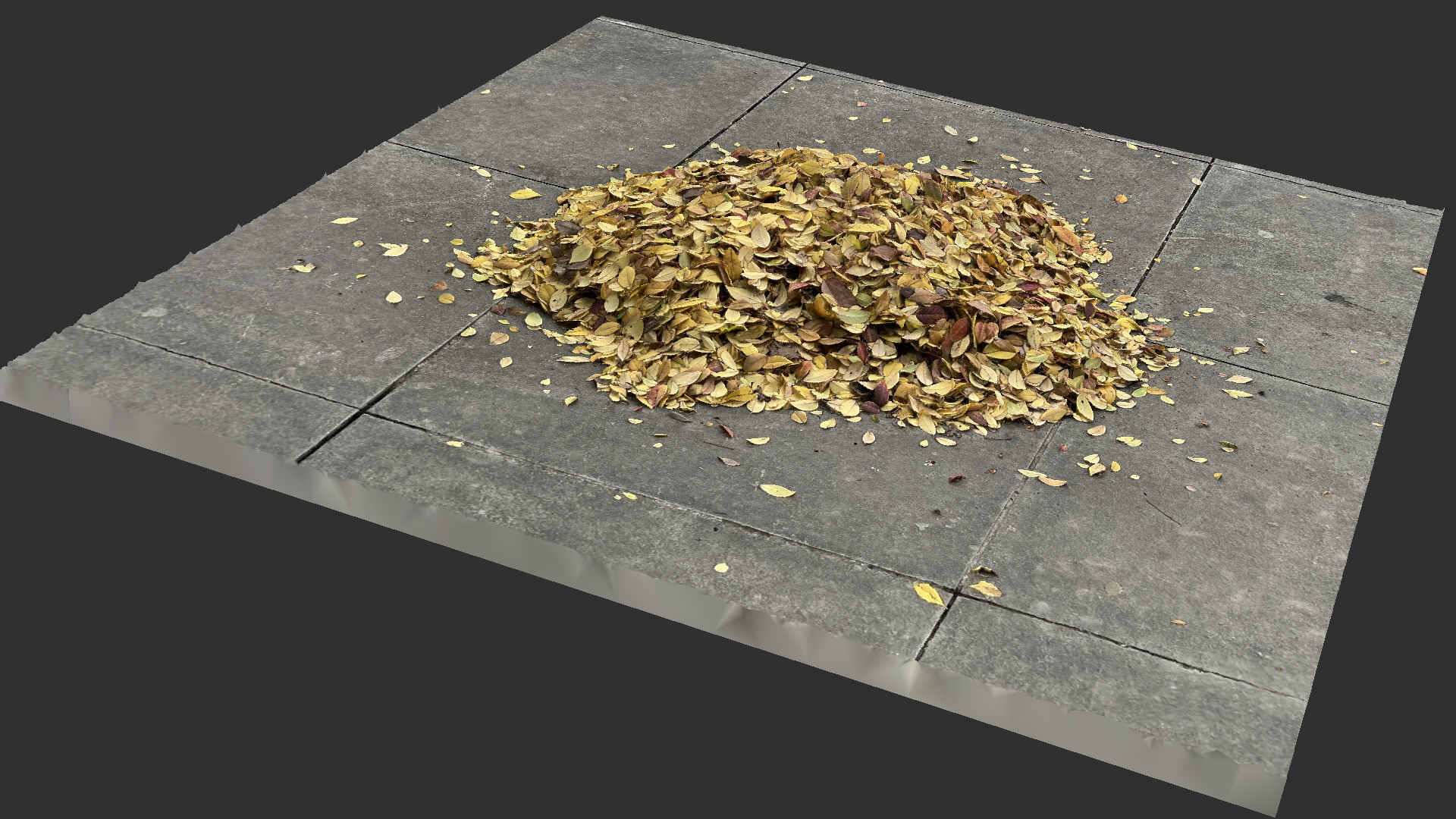 Leaves on the ground 3d scan 3D model | CGTrader