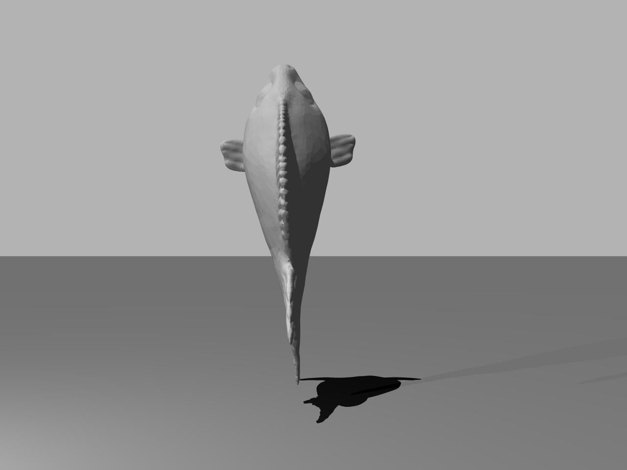 sample fish free 3D model | CGTrader