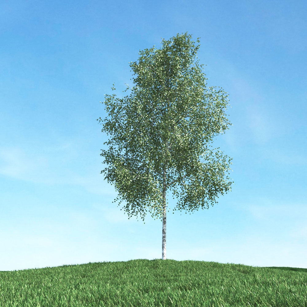 Archmodels vol 106 - Realistic Tress Collection 3D model | CGTrader