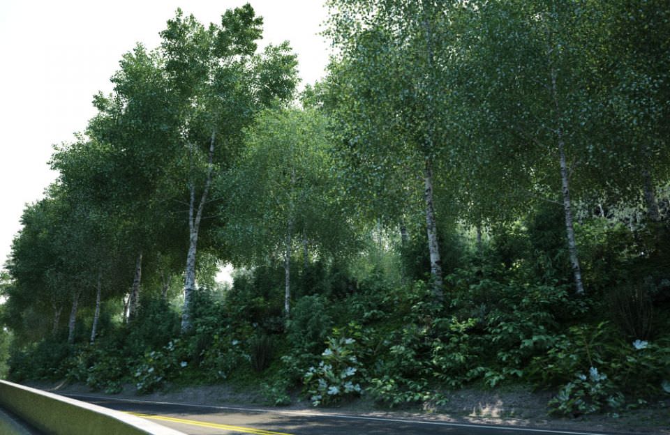 Archmodels vol 106 - Realistic Tress Collection 3D model | CGTrader