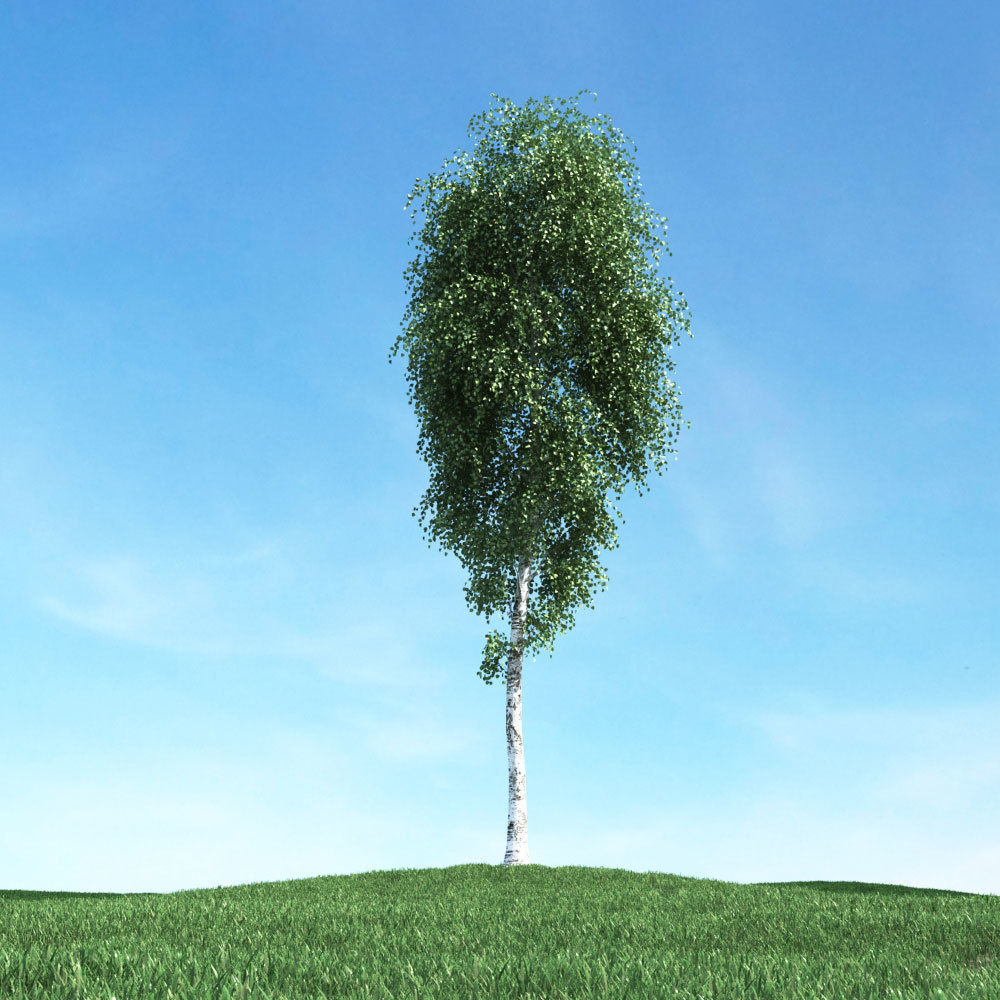 Archmodels vol 106 - Realistic Tress Collection 3D model | CGTrader