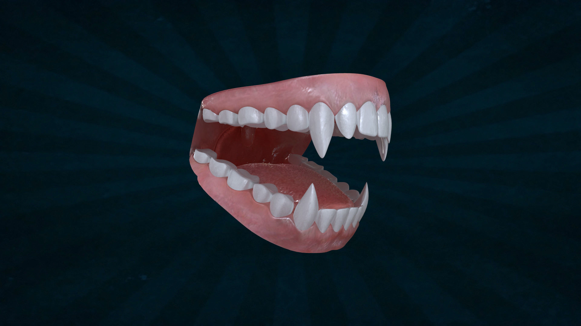 TETH-002 Rigged Teeth 3D model animated rigged | CGTrader