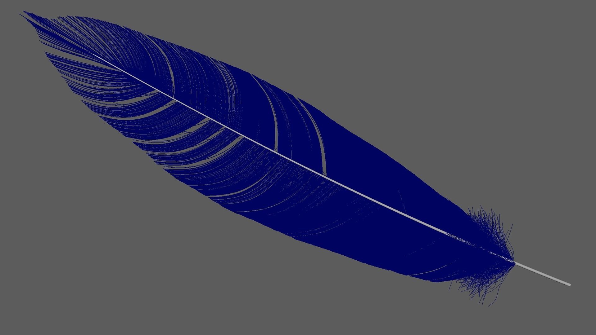 Set of 8 high quality feathers 3D model | CGTrader