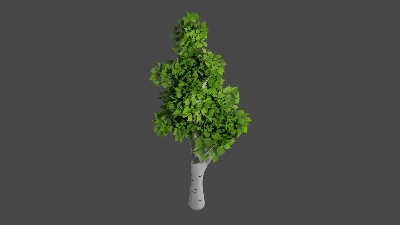 Stylized birch 3D model | CGTrader