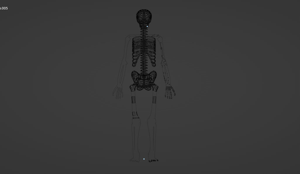 3D model skeleton VR / AR / low-poly | CGTrader
