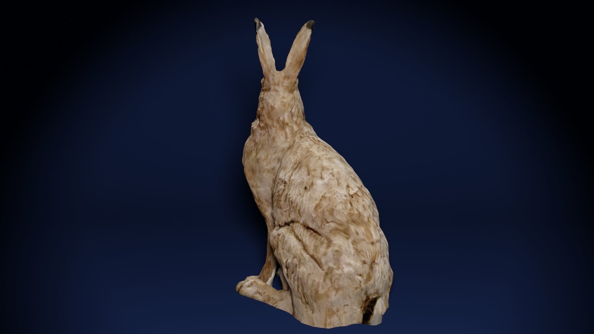 3D model Realistic Hare Statue VR / AR / low-poly | CGTrader