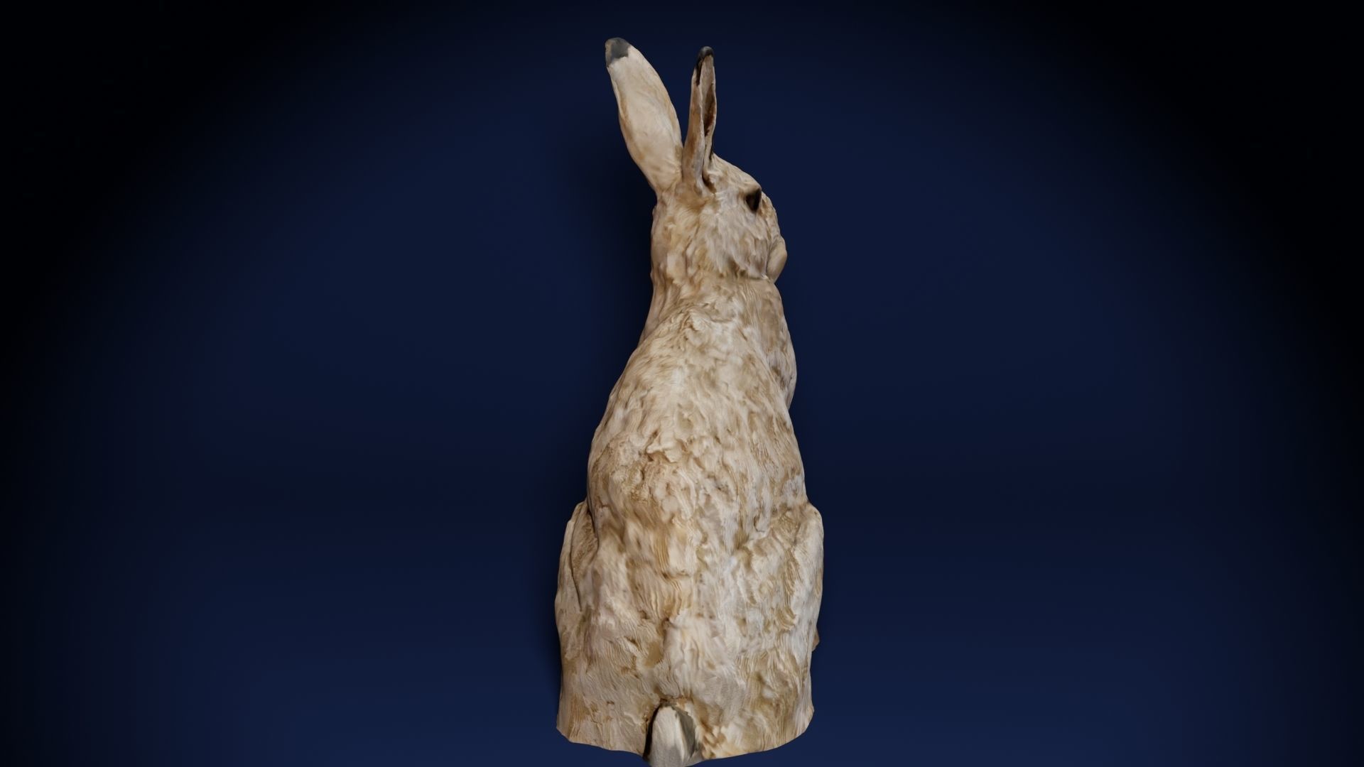 3D model Realistic Hare Statue VR / AR / low-poly | CGTrader