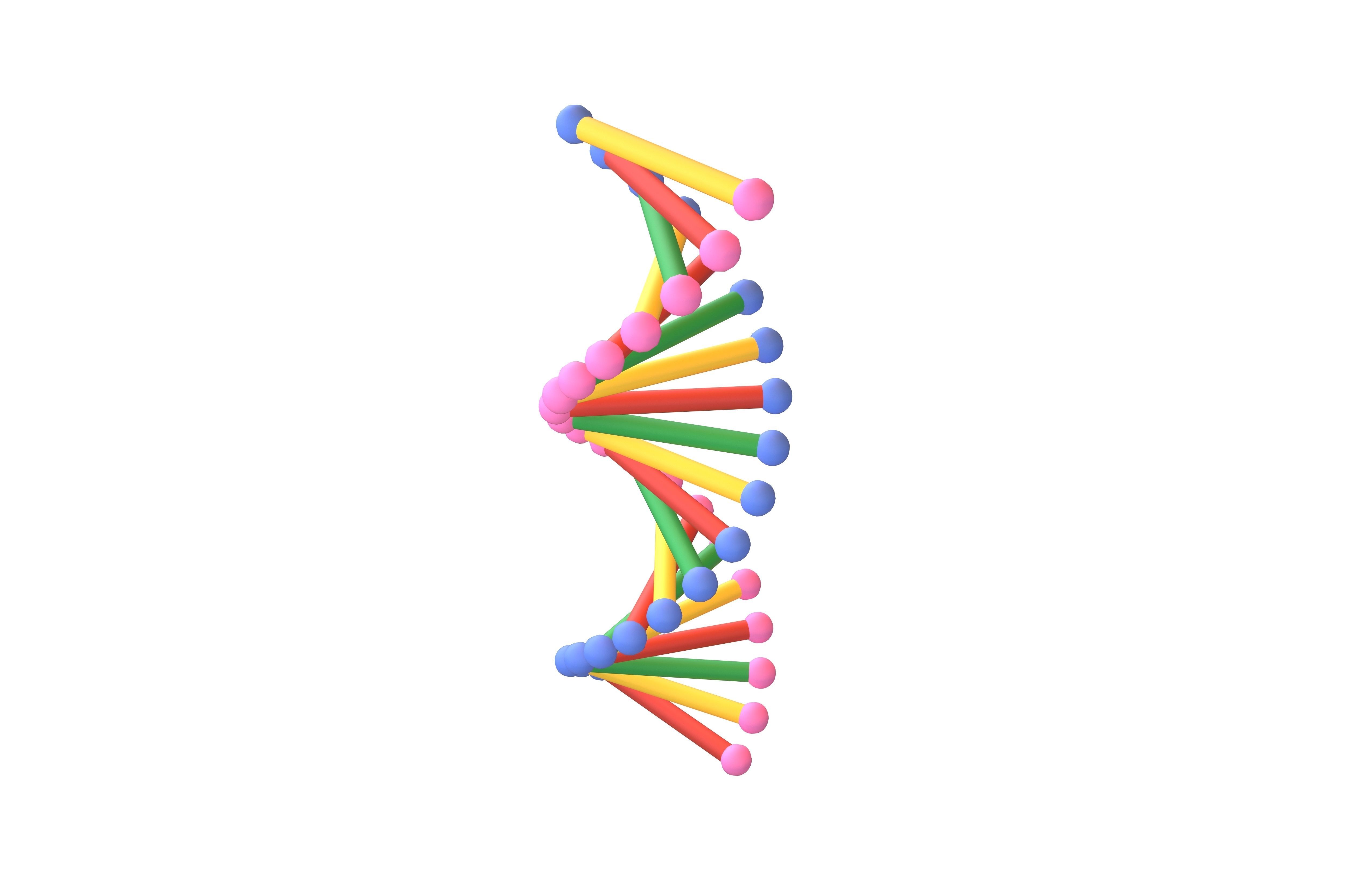 3D model Cartoon DNA Molecule v2 001 VR / AR / low-poly | CGTrader