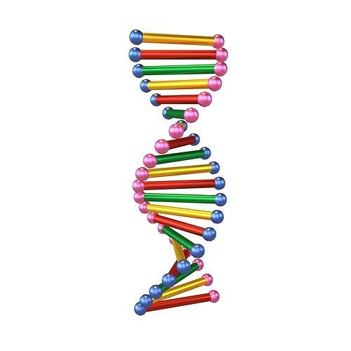 Dna Double Helix Cartoon