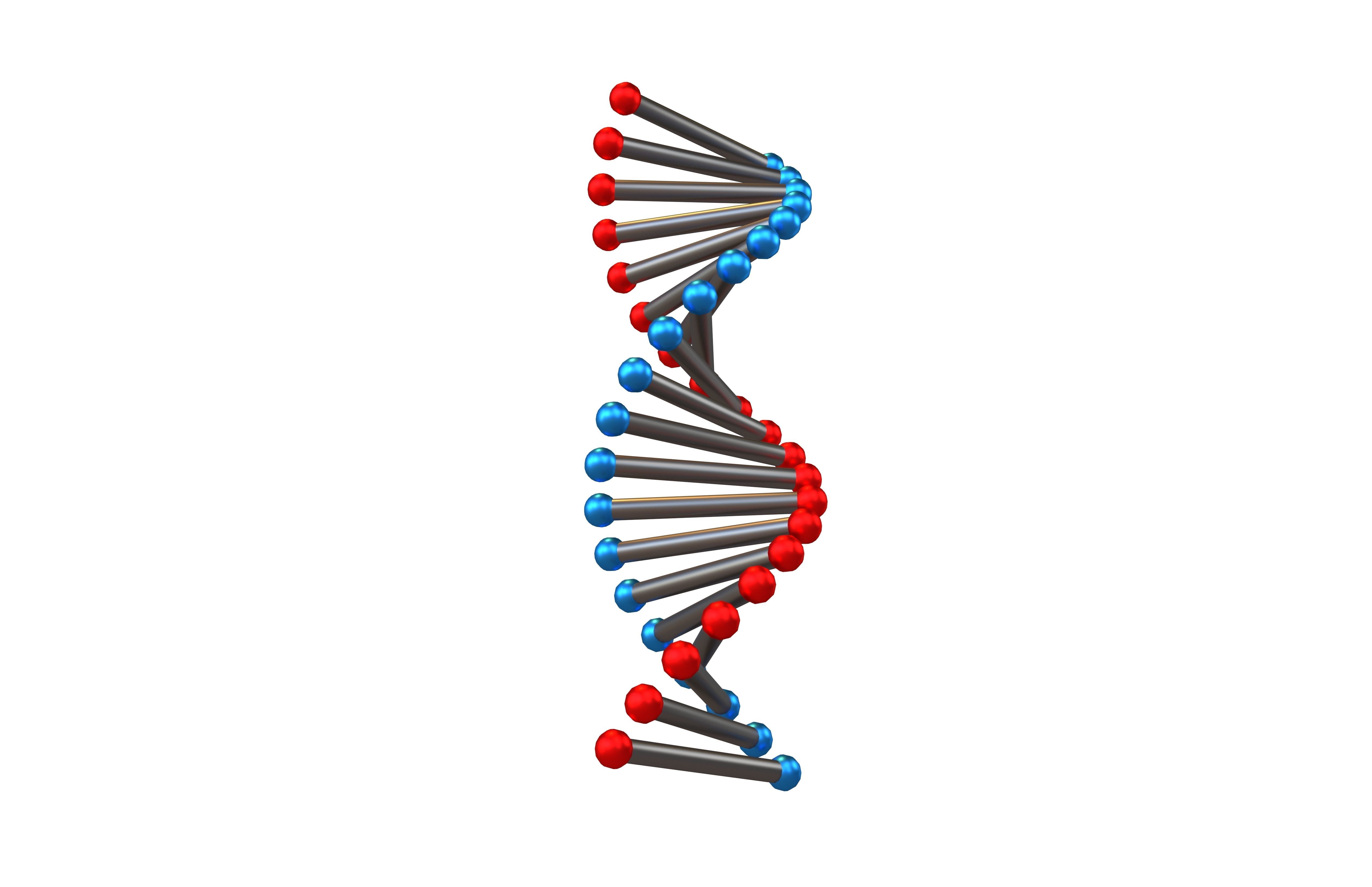 3D model Cartoon DNA Molecule v2 008 VR / AR / low-poly | CGTrader